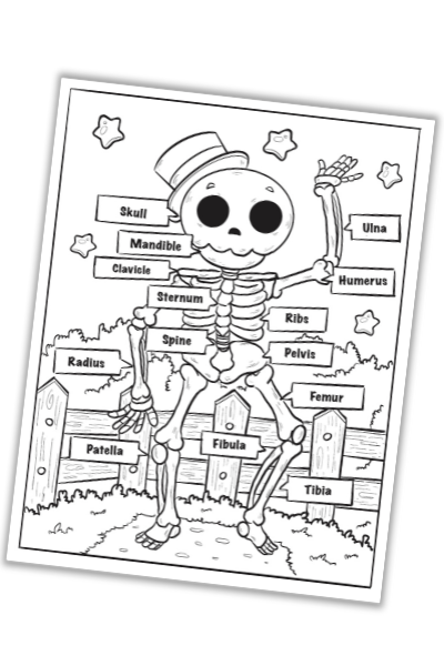 human body coloring pages for kindergarten